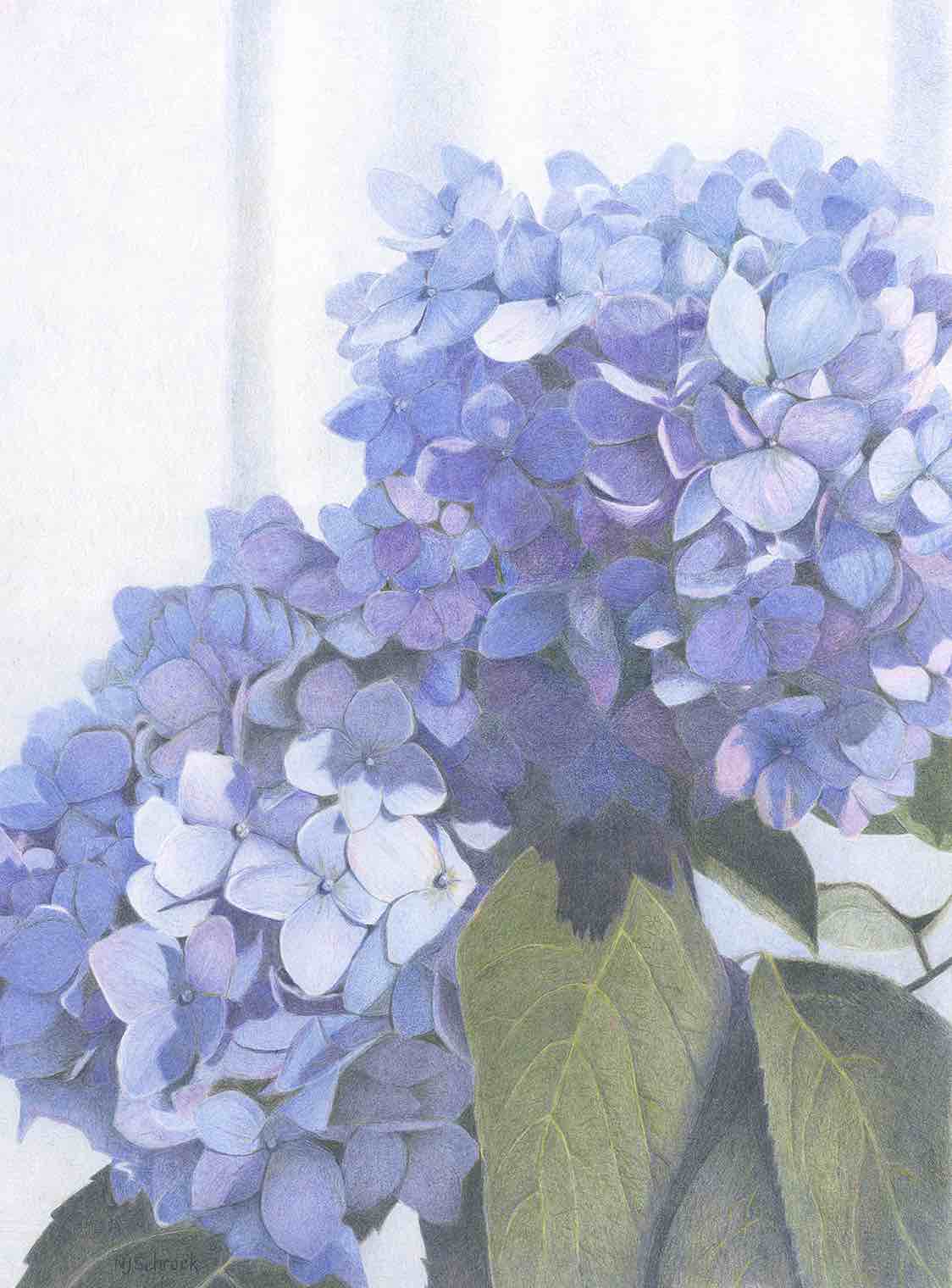 N. J. Schrock – Writing, Art, Teaching